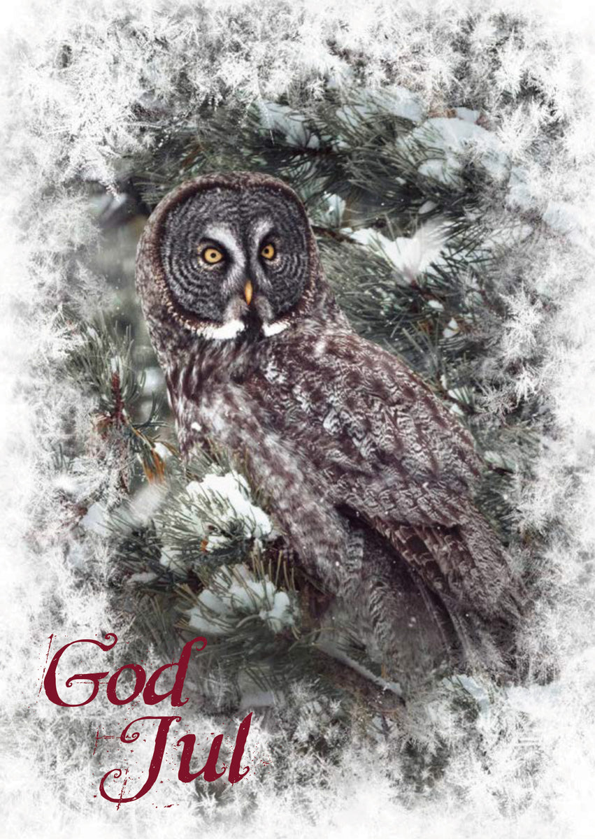 Julekort 2023 – NOAHshop